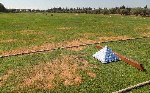 Golf Tips, Help and Instruction - Golf365